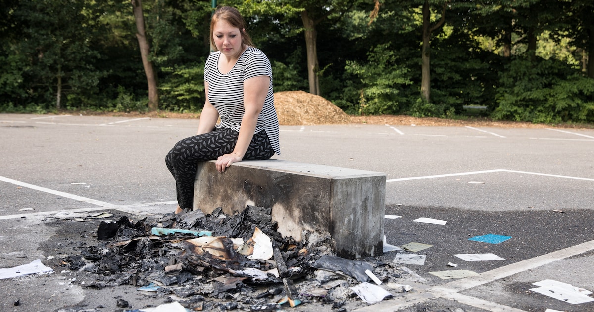 Veel boeken aangeboden voor nieuwe mini-bieb | Regio | AD.nl