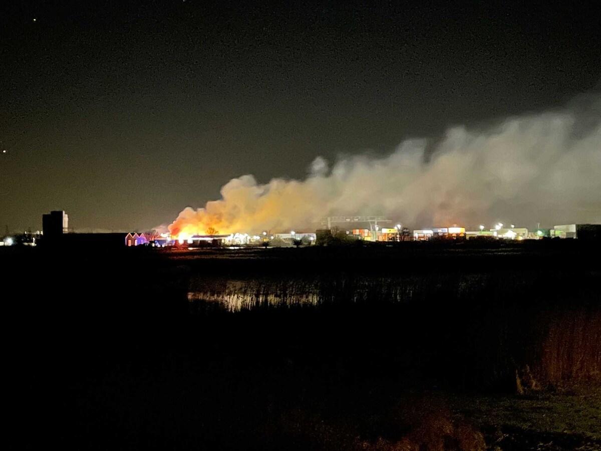 Nablussen duurde uren: zeer grote brand bij palletbedrijf in Hasselt is ...