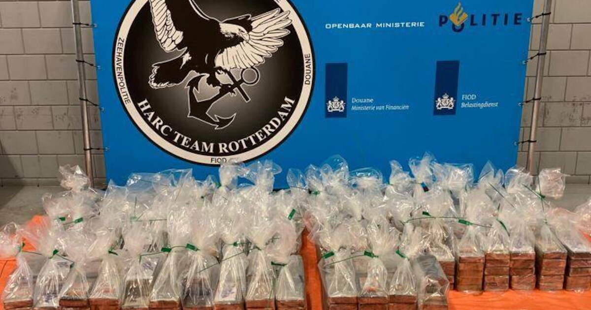 Opnieuw drugs aangetroffen in Rotterdamse haven: 540 kilo cocaïne ...