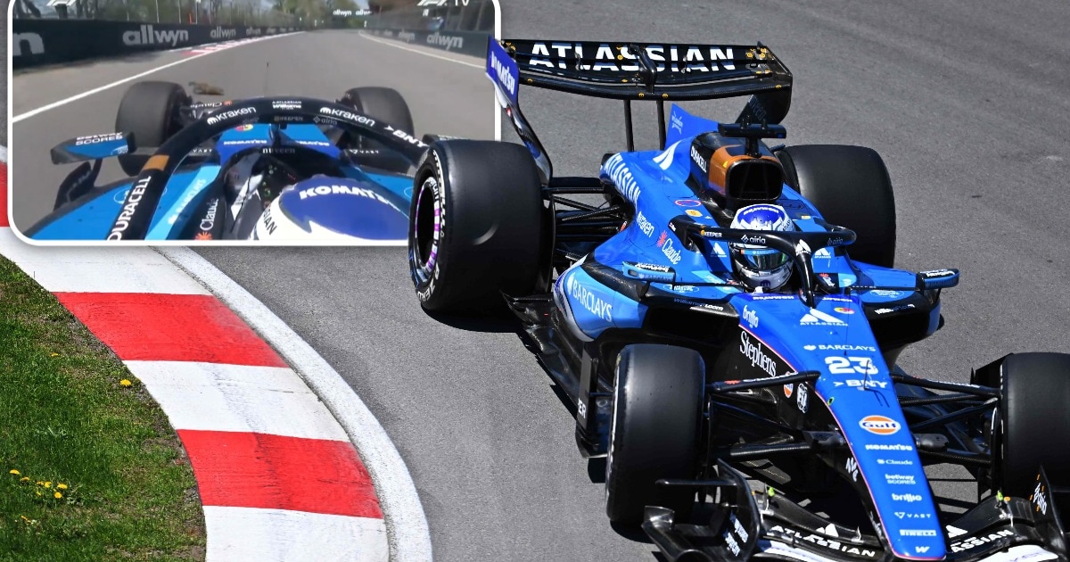 Ongebruikelijke veroorzaker F1-crash: Alexander Albon rijdt vlak voor ...