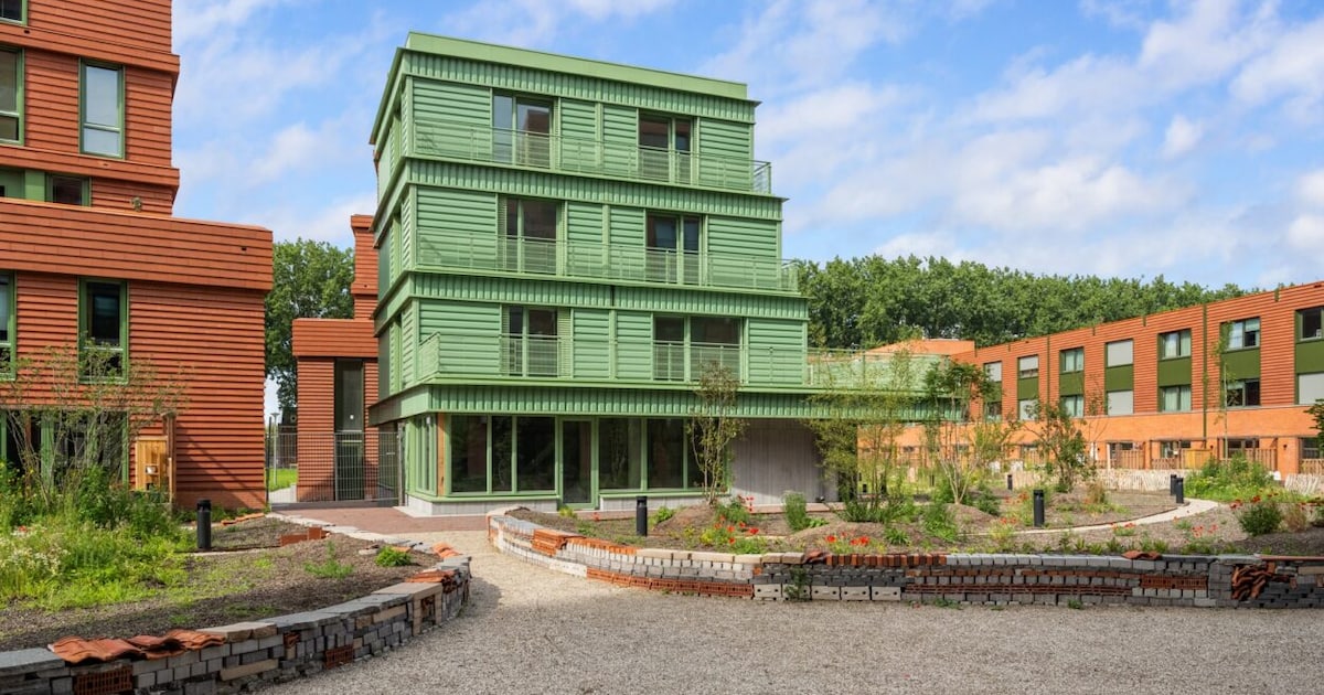 Rotterdam-Zuid krijgt twee luxe stadsvilla’s met eigen dakterras: verkoop is gestart | Rotterdam ...