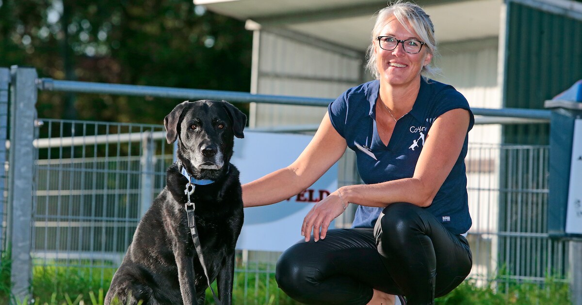 Hond helpt depressieve jongeren: ‘Sommigen verkrampen bij psycholoog ...