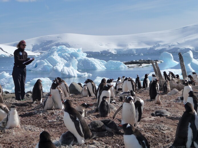 Ylva woonde een half jaar op Antarctica en werkte in het zuidelijkste ...