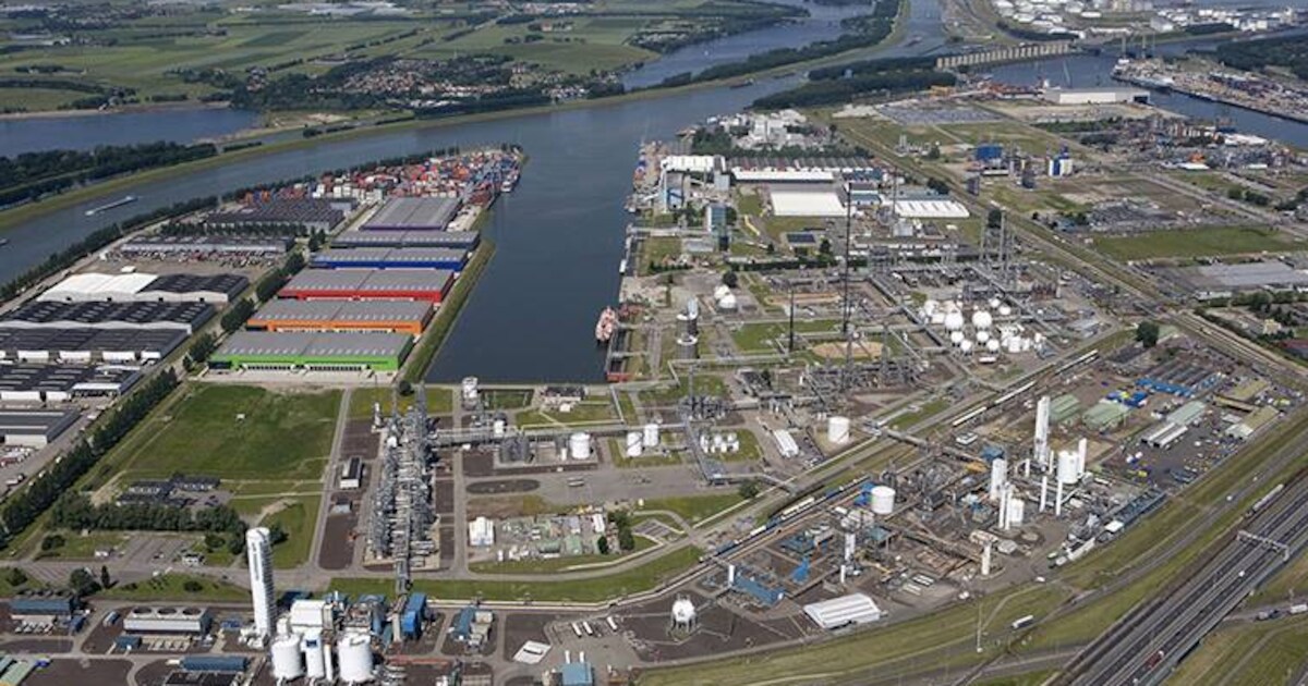 Medewerker overlijdt na bedrijfsongeval in Rotterdamse haven: ‘Een ...
