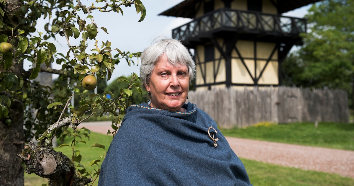 Grens Romeinse Rijk is nu werelderfgoed: dit is waarom dat zo bijzonder ...