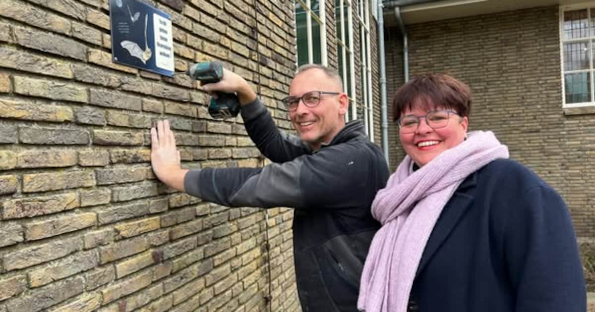 'Yn dit gebou binne flearmûzen wolkom': gebouwen in Tytsjerksteradiel ...