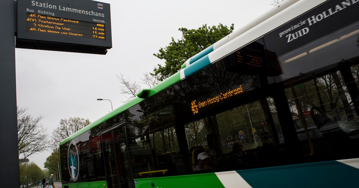 Mysterie: dit is waar de Leidse buslijnnummers op zijn gebaseerd ...