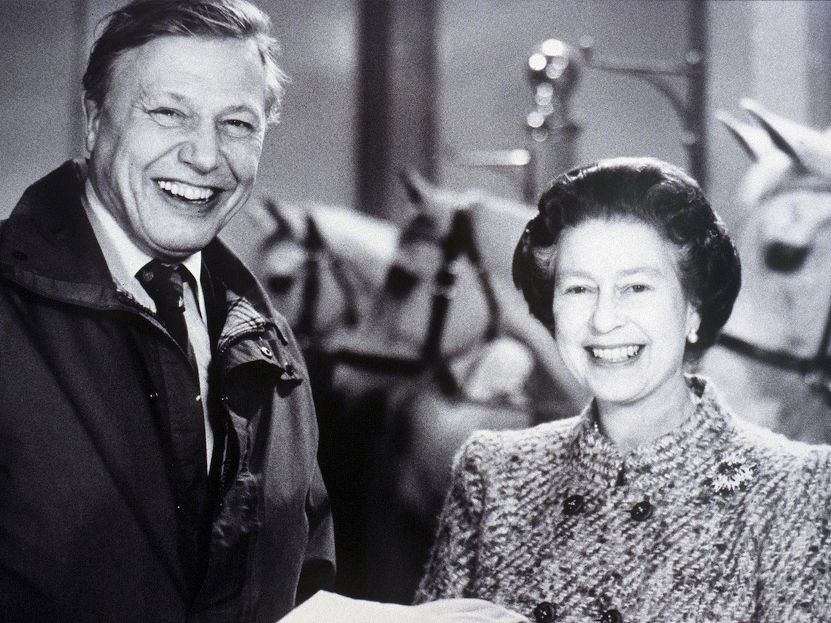 Obama zenuwachtig, Queen smelt: zeven momenten die David Attenborough ...