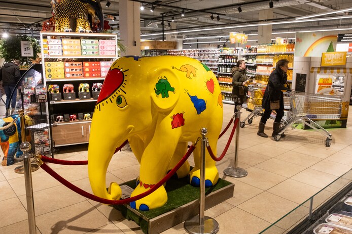 Parade van kleurrijke olifanten tovert bij jong en oud in Nijkerk een ...