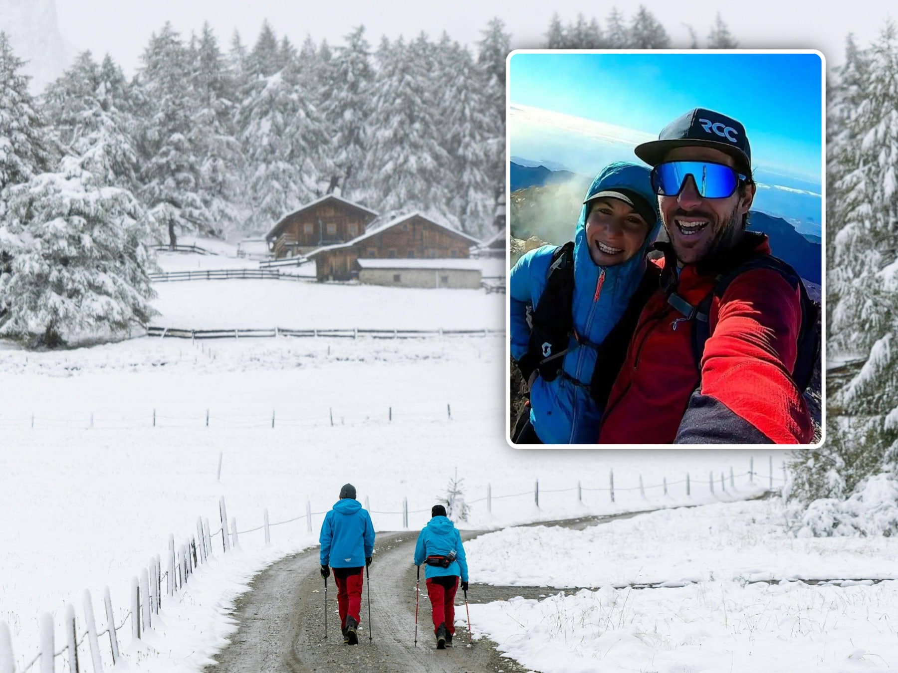 ‘Al die havens zitten vol met ontbossers, Nederland is een echt ...