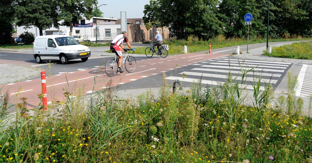 ‘Groenonderhoud bij kruispunten vraagt om inhaalslag na vele regen ...