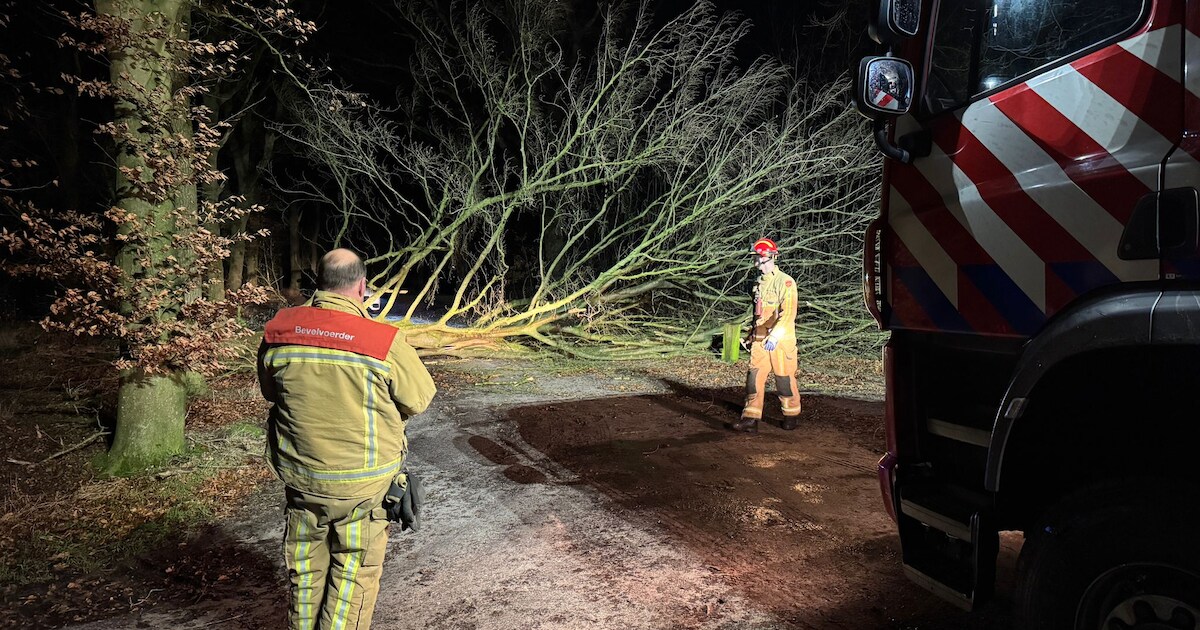 Grote boom valt om in Elsendorp en blokkeert de weg, brandweer zaagt ...