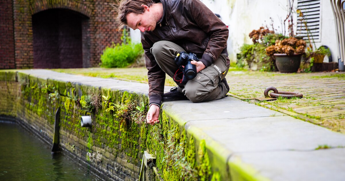 Verveel je je? Ga in Dordt op stoeptegelexpeditie! | Dordrecht | AD.nl