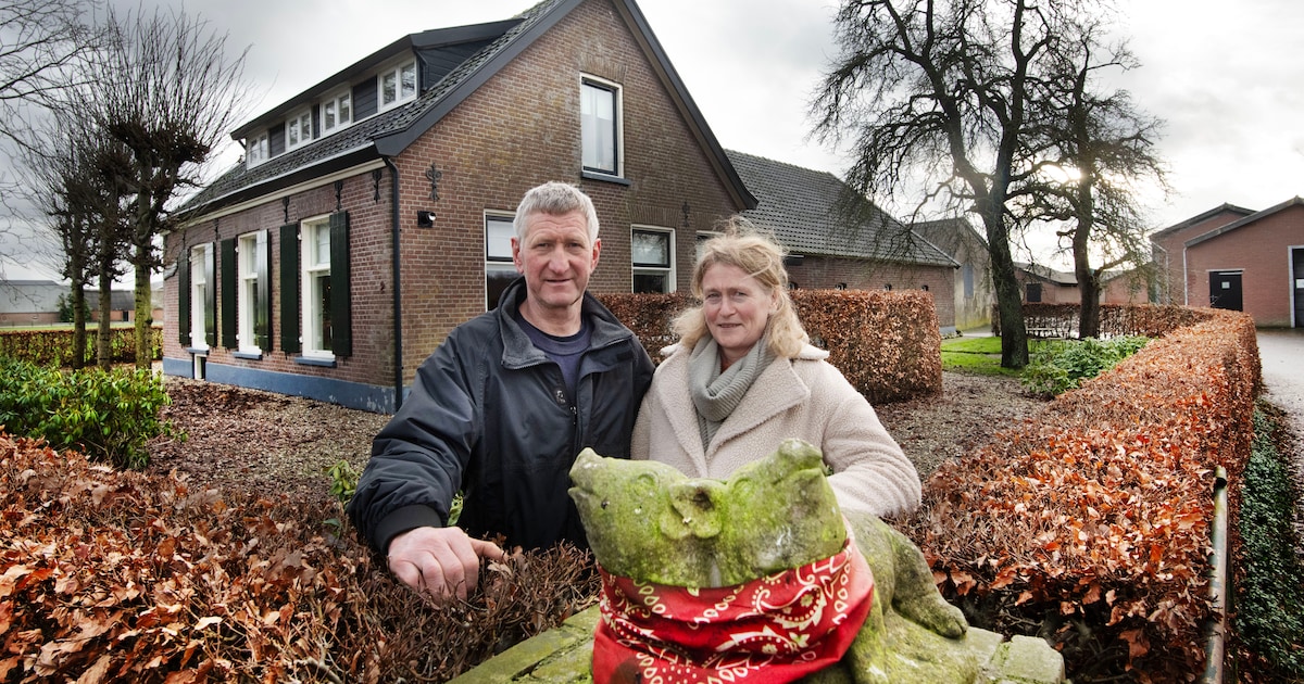 Deze boer en boerin ruilen duizenden varkens in voor kruiden, noten en ...