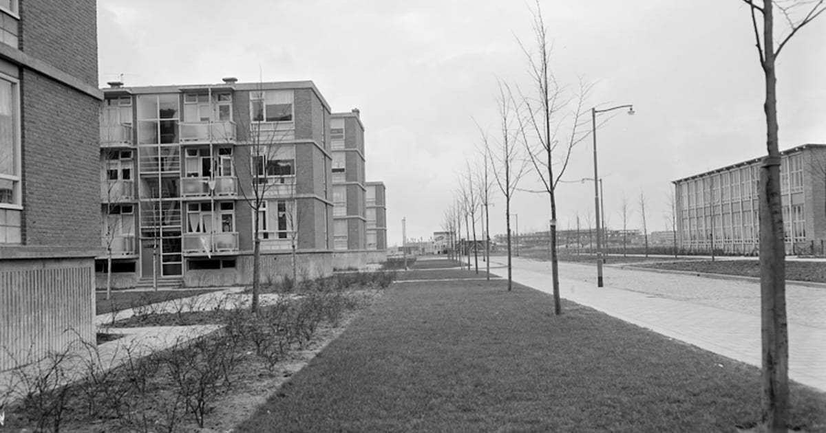 In de jaren 50 werd gesnakt naar deze Rotterdamse wederopbouwgebouwen ...