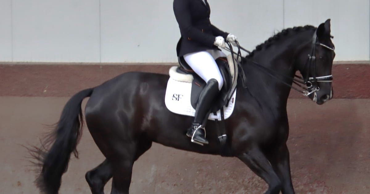 Stephanie de Frel oppermachtig met de merrie Nicaragua | Middelburg | AD.nl