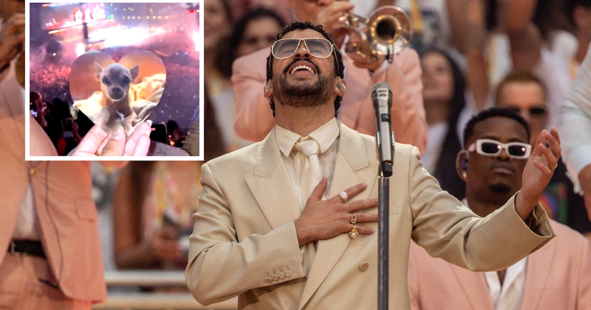 Fans in tranen bij Bad Bunny: waarom duizenden mensen foto’s van ...
