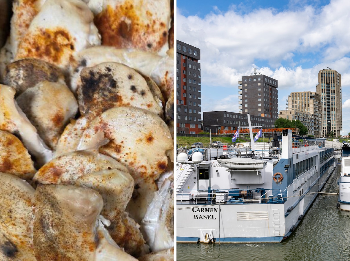 Eigenaar van opvangsche­pen ‘zeer verbaasd’ om maagklach­ten na eten ...