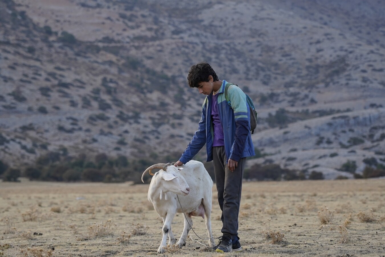 Omar (17) uit Oss leefde in azc en speelt nu hoofdrol in Nederlandse ...