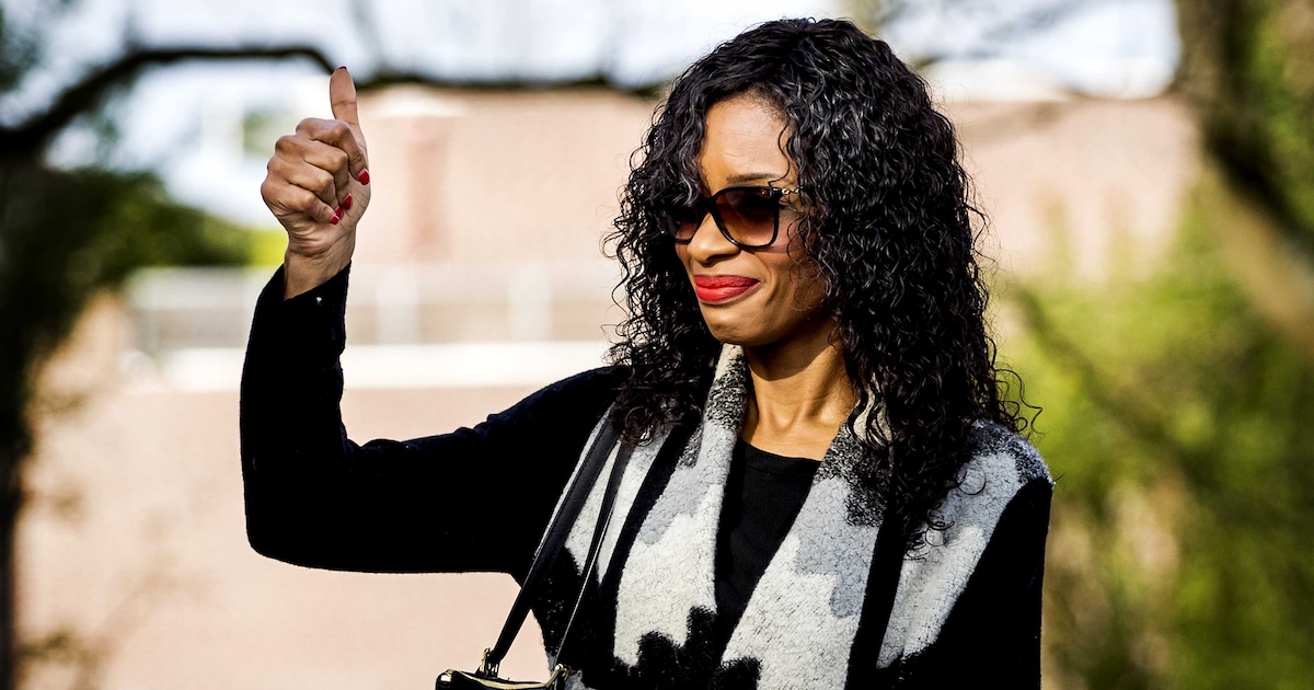 Nieuwe partijnaam Sylvana Simons al gebruikt door therapeuten | Nieuws ...