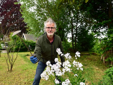 Imker Cor (65) ziet zijn stukje wilde natuur in één uur verdwijnen ...