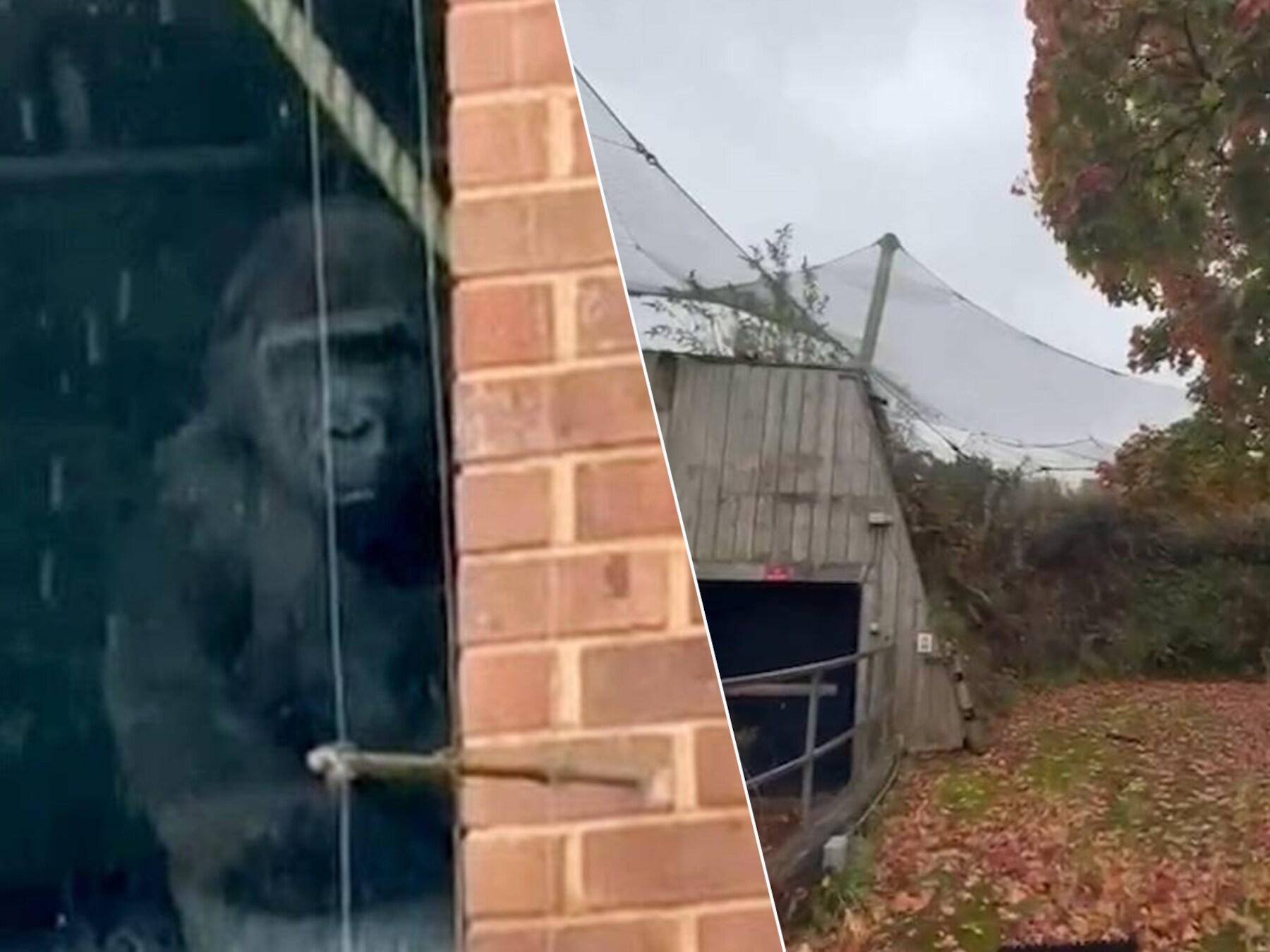 Heftige reacties op dood Charlie Kirk symboliseren de polarisatie die ...