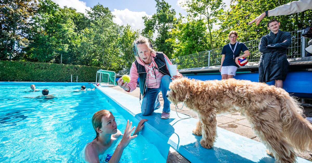Feest der herkenning: in nieuwe jeugdserie Zwabber speelt alles in het ...