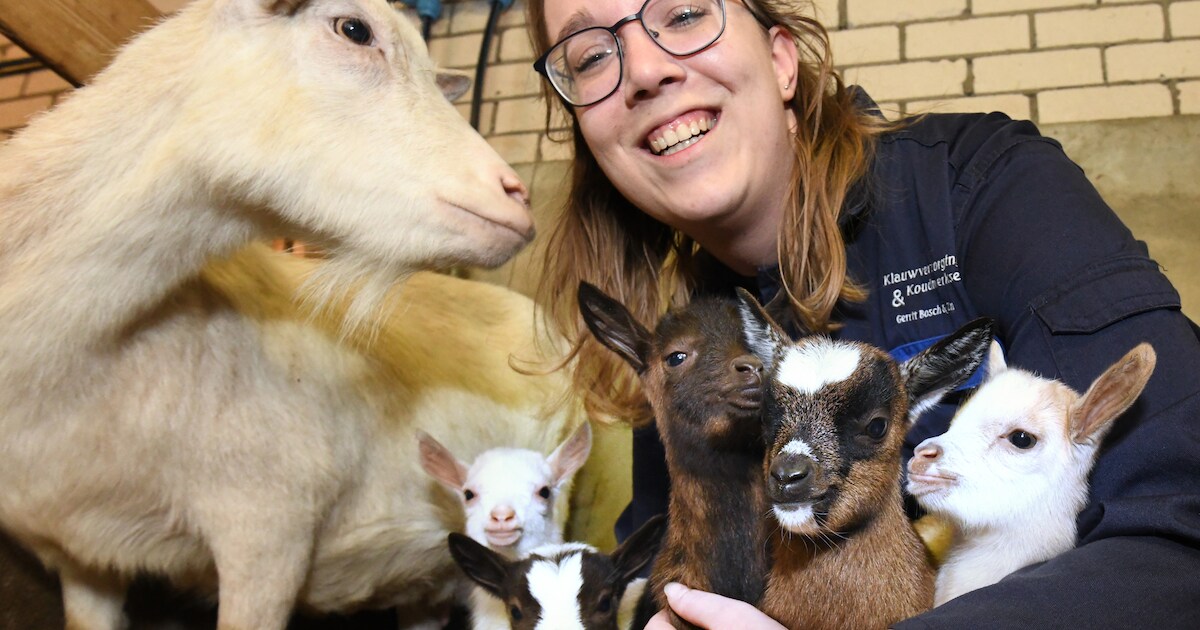 Lief: Lopikse moedergeit Truus zet vijfling op de wereld | Utrecht | AD.nl