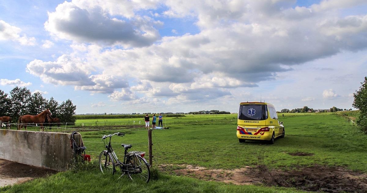 Ruiter naar het ziekenhuis na val van steigerend paard | Regio | AD.nl