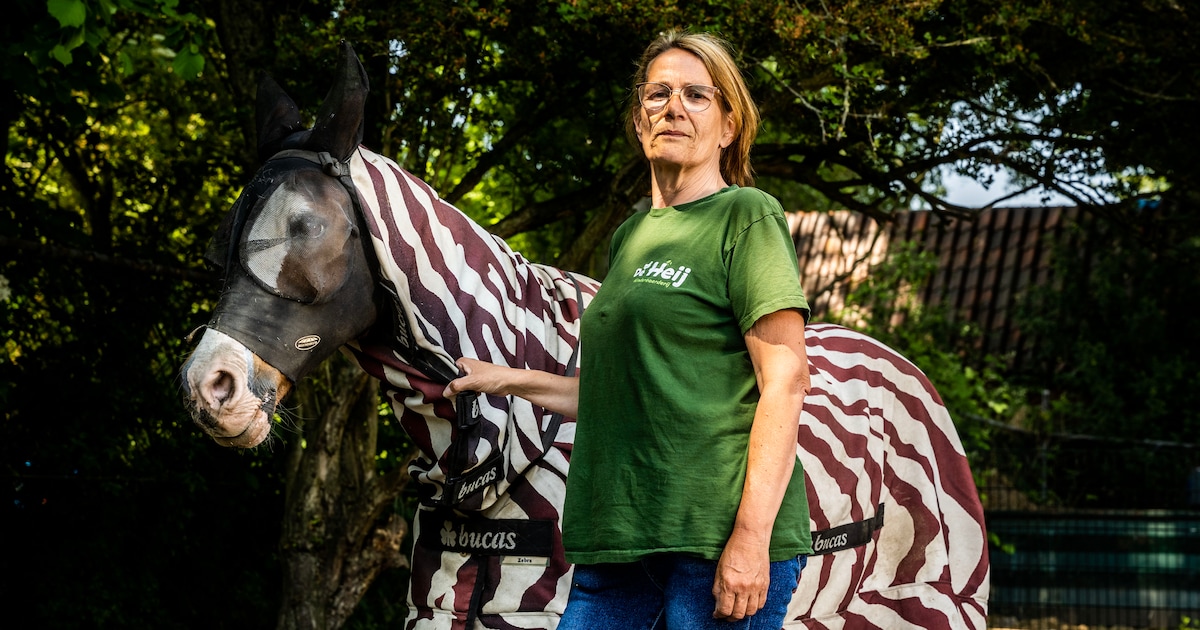 Sjaan vreest voor haar dieren op de kinderboerderij: vliegenoverlast ...