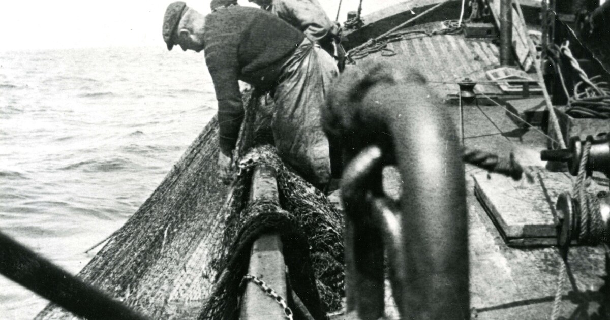 Vanuit Zwartewaal voeren vissers tot aan IJsland voor de vangst van ...