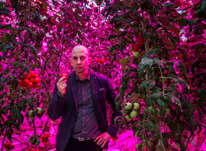 David mag 'spelen' met honderden miljoenen van Chinese internetgigant ...