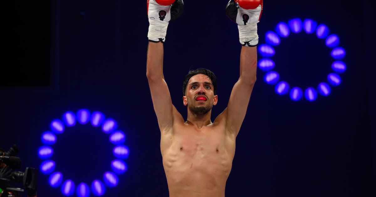 Voor oorlog gevluchte Mohammed Mousavi begon na pesten met kickboksen ...