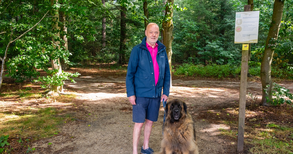 Cees houdt zijn hond niet aan de lijn in gebied bij wolf, hij ...
