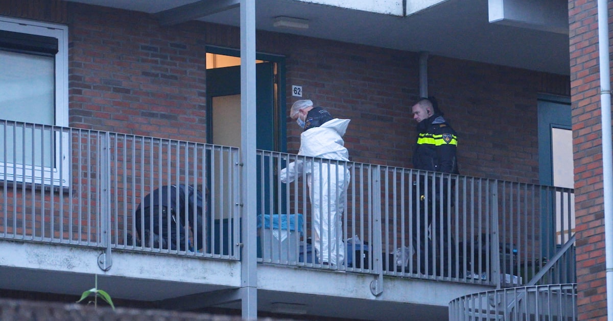 Gianny-Davey (12) mogelijk om het leven gebracht door eigen vader in ...