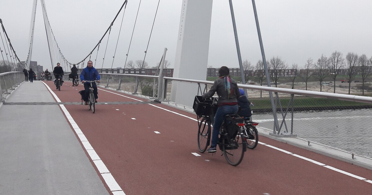 Jongen door groep geslagen en beroofd op Dafne Schippersbrug: zeven ...