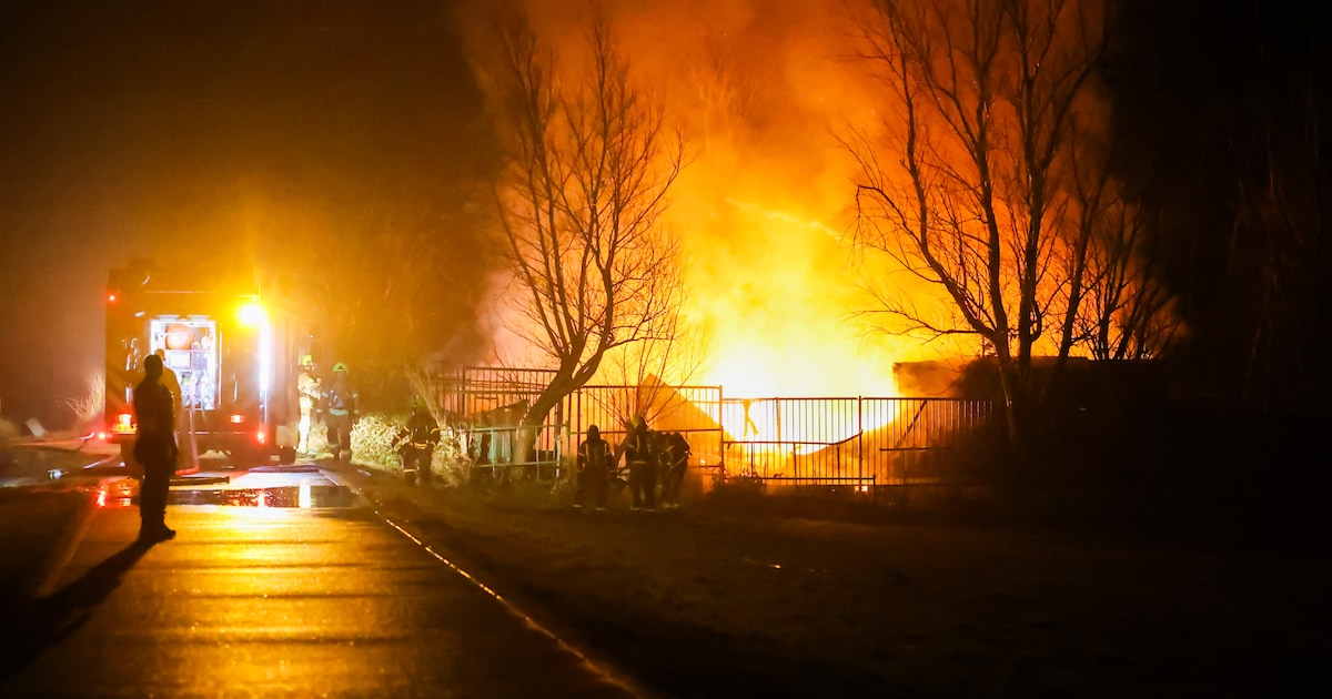 Felle brand in buitengebied van Rotterdam, vlammen tot ver zichtbaar ...