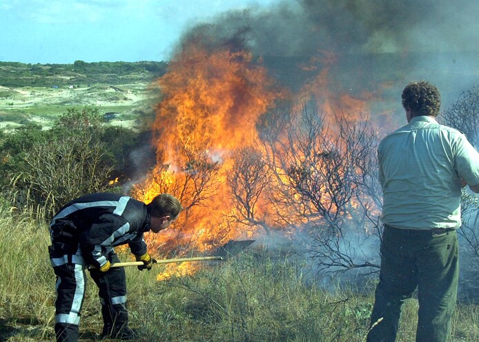 Na bijzonder nat voorjaar is kans op natuurbranden extra groot: ‘Steeds ...