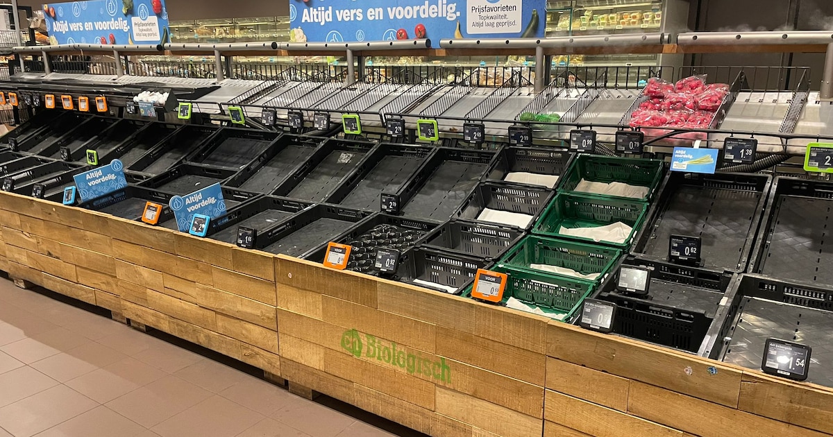 ‘Klanten lopen weg bij Albert Heijn, lege schappen kosten tientallen ...