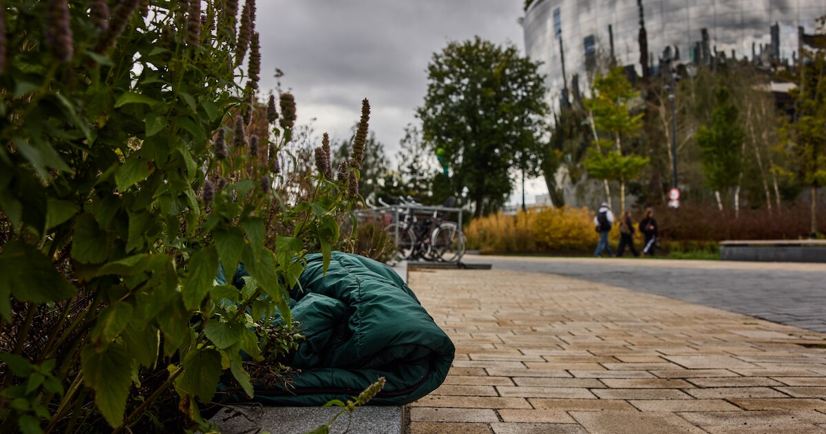 Werk en dagbesteding zijn volgens Rotterdamse Zakenvrouw van het Jaar ...