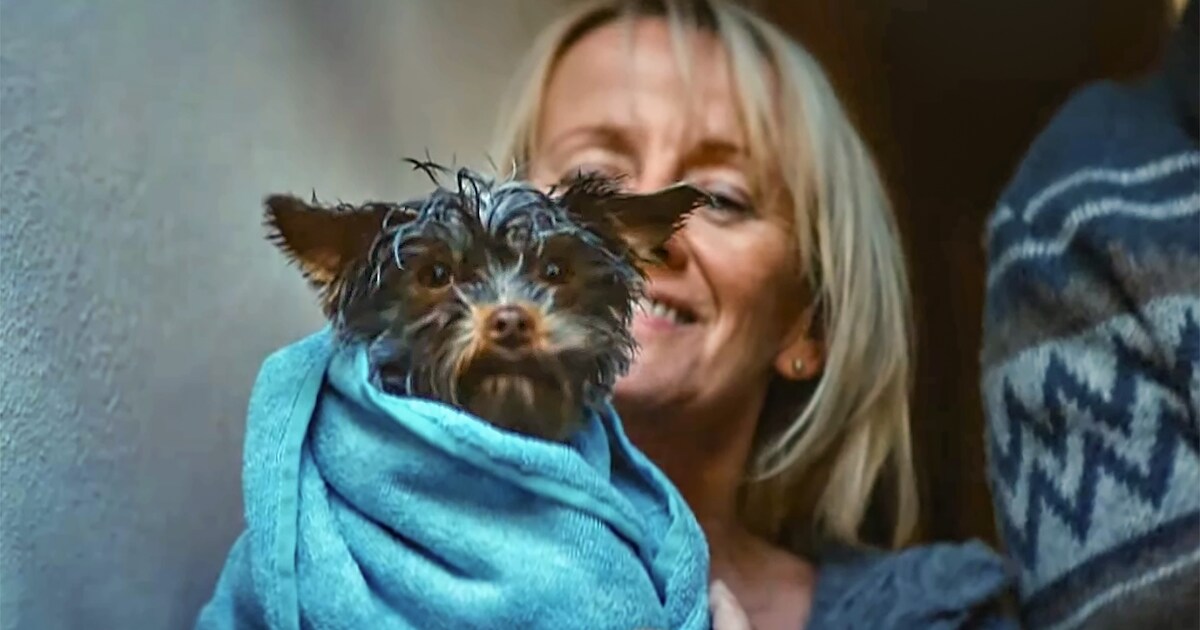 Loterijhondje Frekkel wint ‘Oscar voor reclame’ | Show | AD.nl