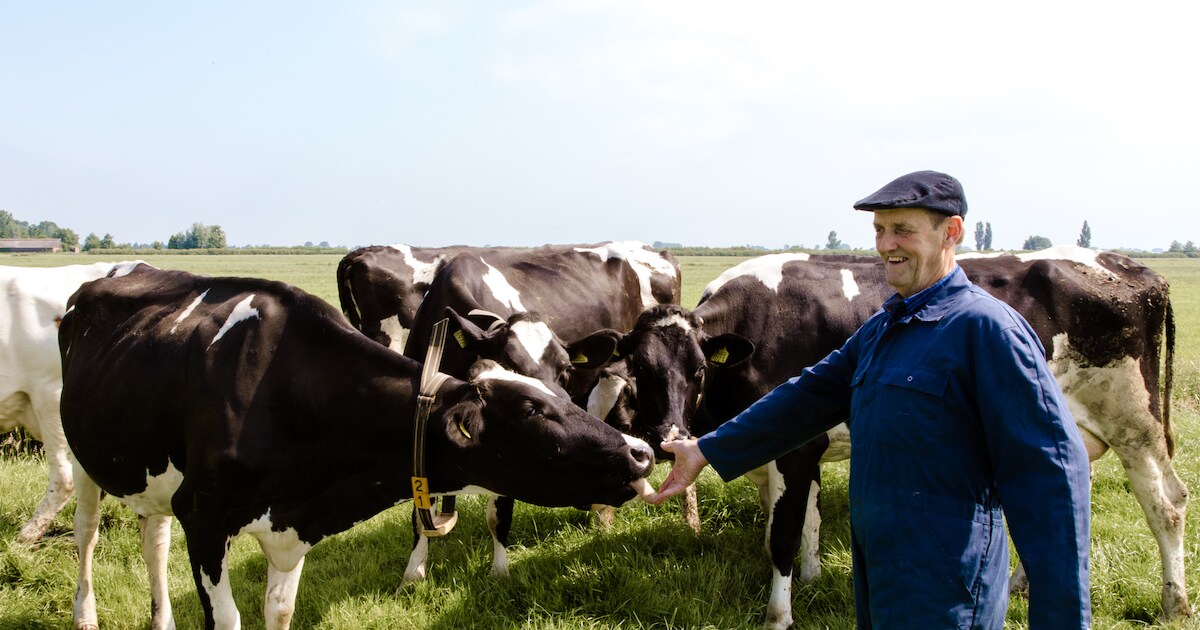 Herman (1945-2021) was een gepassioneerd boer: ‘Niks koffie, hij wilde ...