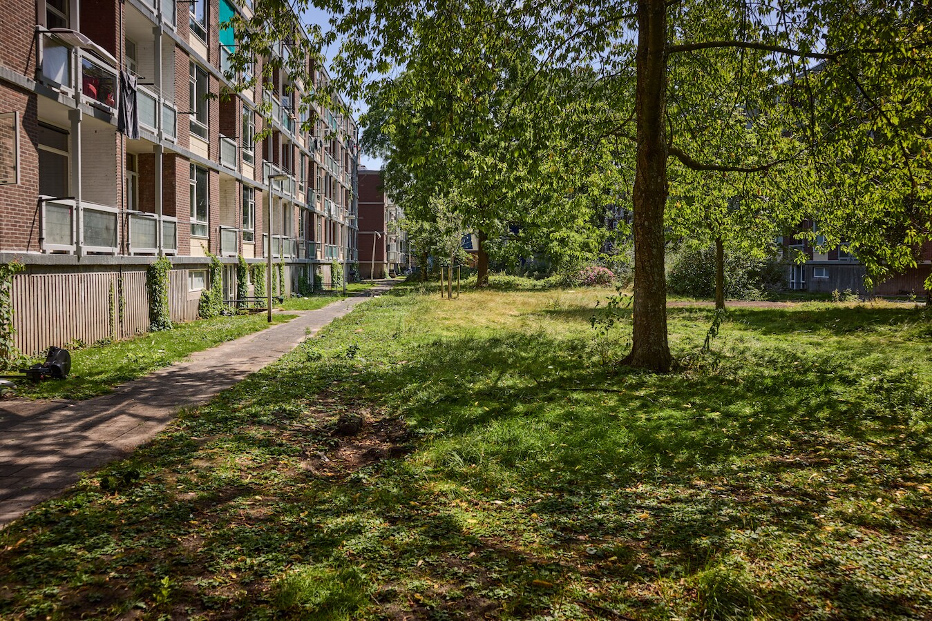 Uit deze buurt wil iedereen verhuizen, maar Angelique (57) krijg je ...