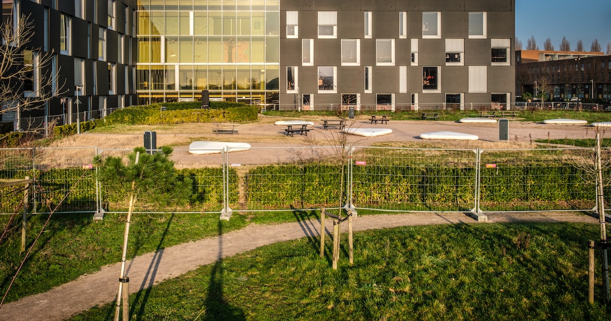 Hekken rond warmtebuffers bij Leidsche Rijn College na verzakkingen ...