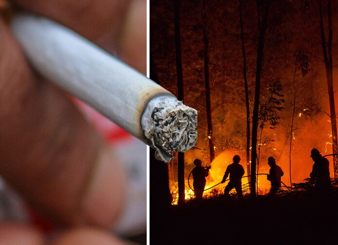 Peukie opsteken in het bos? Dat mag hier nu écht niet meer, anders kan ...