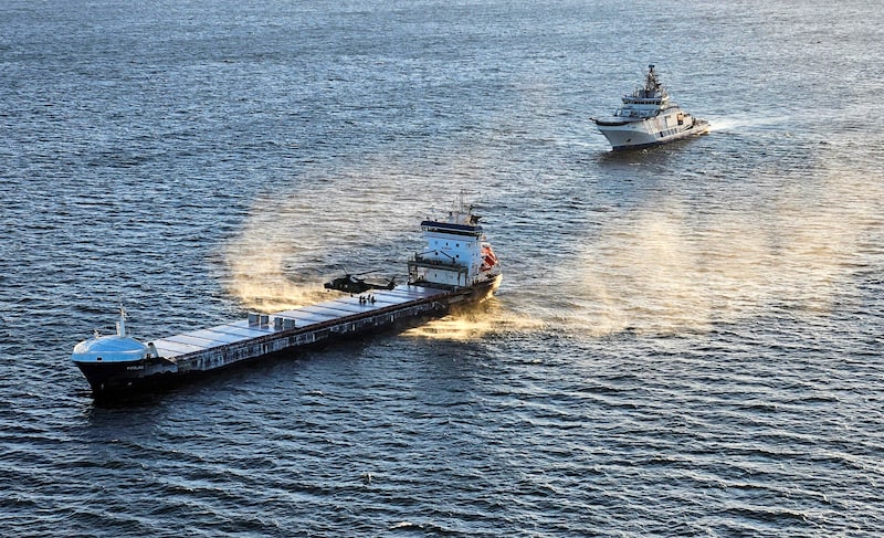 LIVE Oorlog Oekraïne | Vogels dood en leeuwen gewond bij aanval op ...
