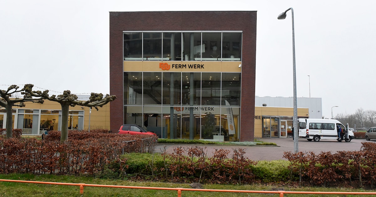Onderzoek veilige werkomgeving Ferm Werk afgerond: ‘Er zijn ongewenste ...