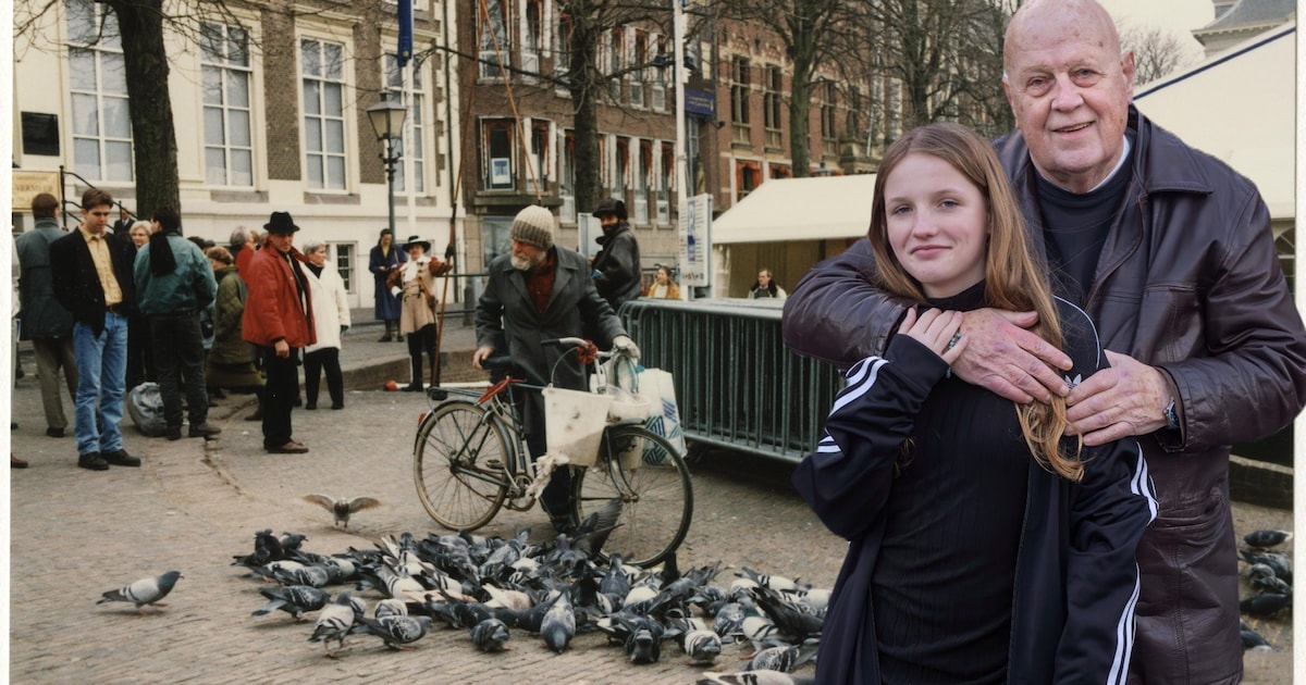 Haagse stadsduiven zijn geliefd en gevreesd, want ze schijten vanuit de ...