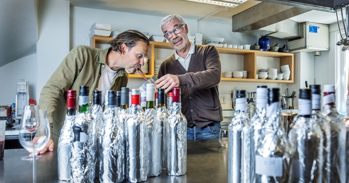 Hamersma test 148 alcoholvrije wijnen: van deze 5 krijg je geen kater ...