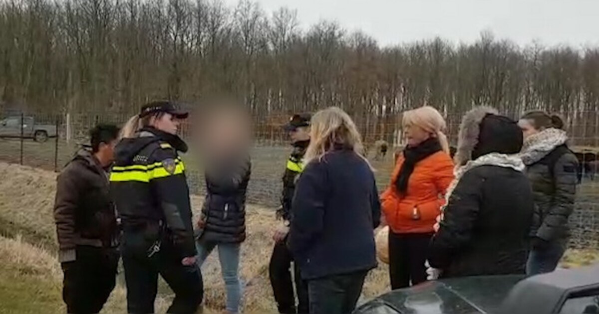 Boze actievoerders opgepakt na afschieten dier Oostvaardersplassen ...